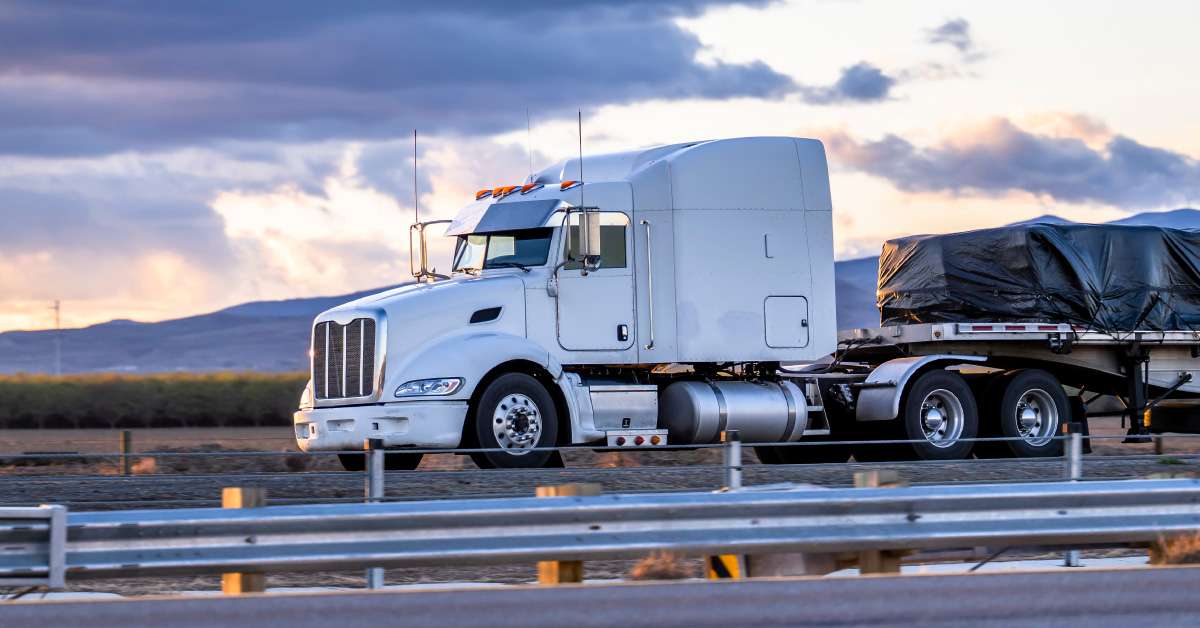 Our Team | Annex Freight Systems